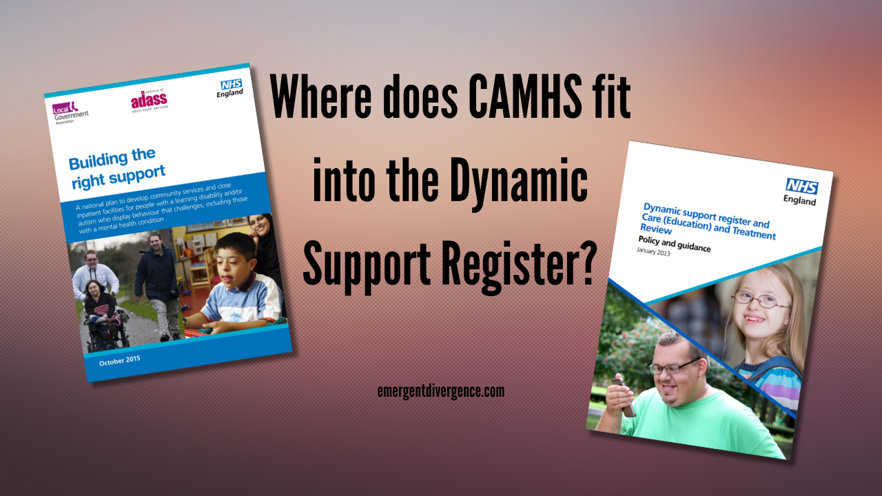 Dynamic Support Register: CAMHS cop out or actually helpful?
